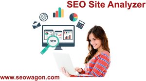 SEO Site Analyzer and Scores Online - SEO WAGON Blog